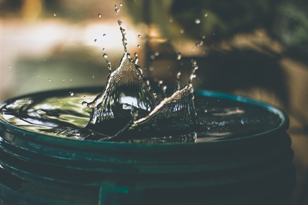 Comment faire sécher un mur après fuite d'eau et moisissure: guide 2025